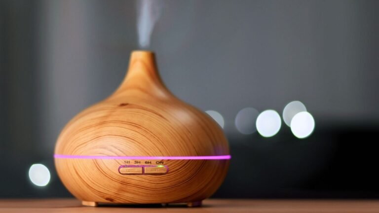 Oil Diffuser vs Humidifier: What Are the Differences? - GuideByTips