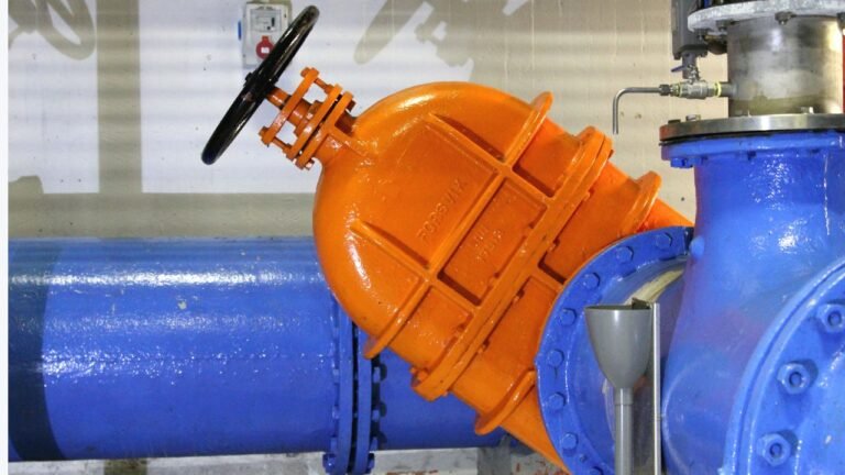 A Guide to Choosing the Right Sanitary Check Valve - GuideByTips