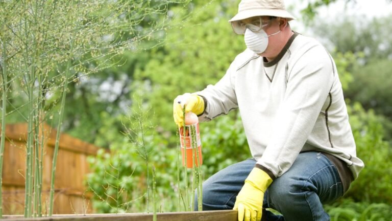 5 Reasons Why Professional Pest Control Services Are Worth It - GuideByTips